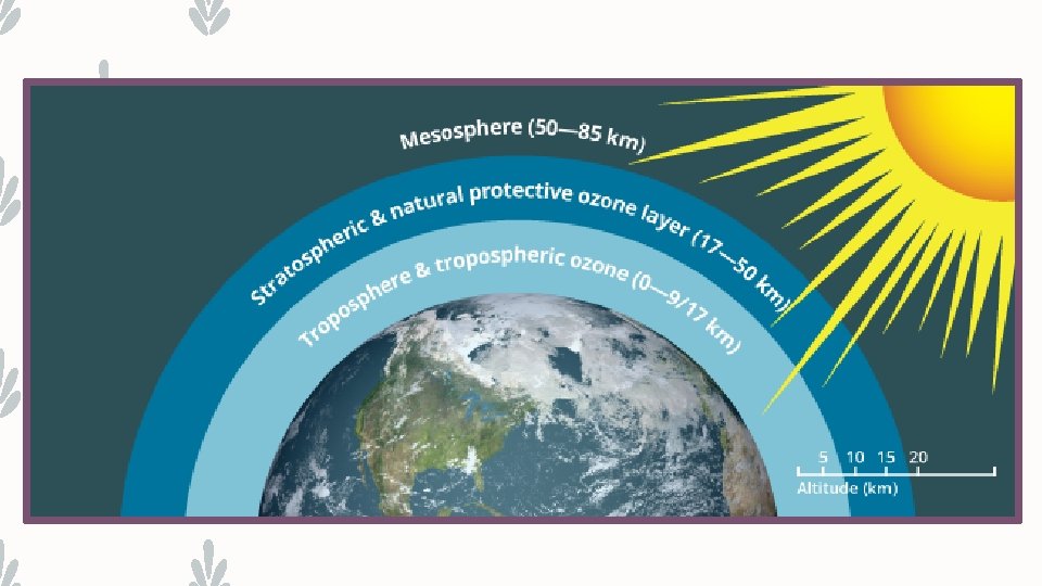 Chapter 4 Global Climates and Biomes Terrestrial Weather