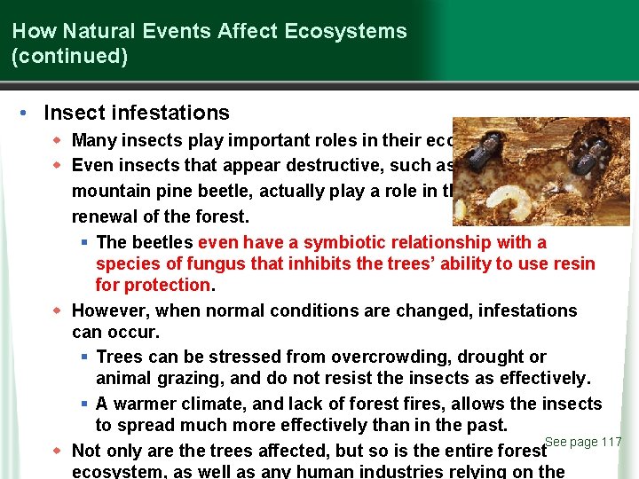 Objectives Know the following definitions w Natural Selection