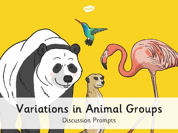 Variations in Animal Groups Discussion Prompts Amphibians live
