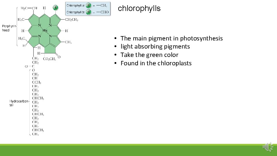 Plant pigments and Photosynthesis PRESENTED BY DR NORA