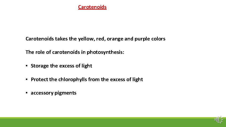Plant pigments and Photosynthesis PRESENTED BY DR NORA