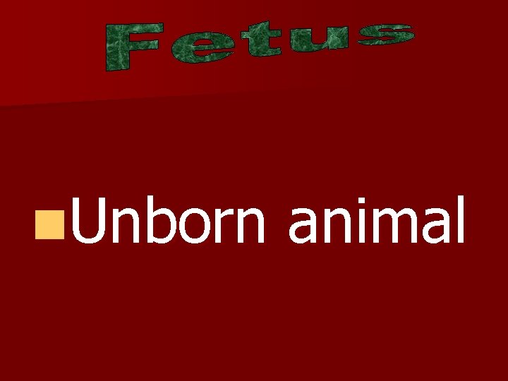 Female parent of animals Male parent of animals