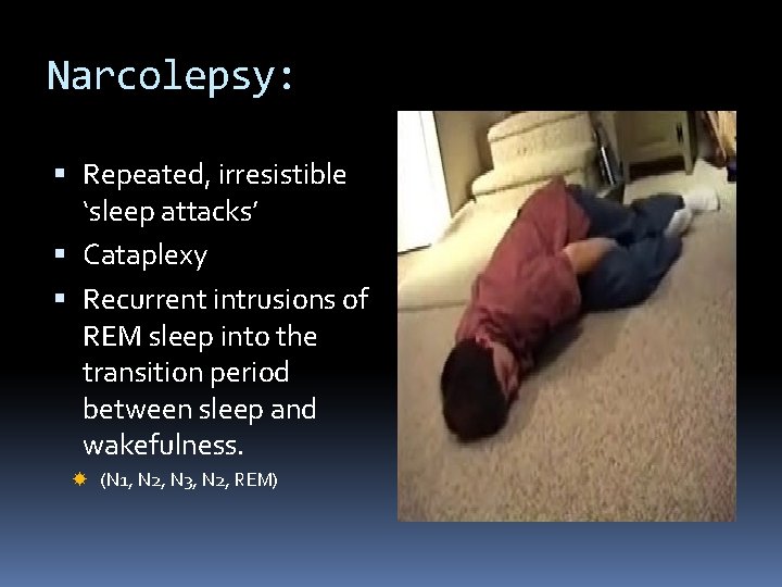 Inger presents ABNORMAL ACTIVITY IN HYPOTHALAMUS AND AMYGDALA