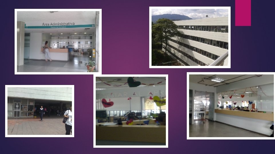 MARA ALEJANDRA BOLVAR ROS LEIDI YURANY MONTOYA ISAZA