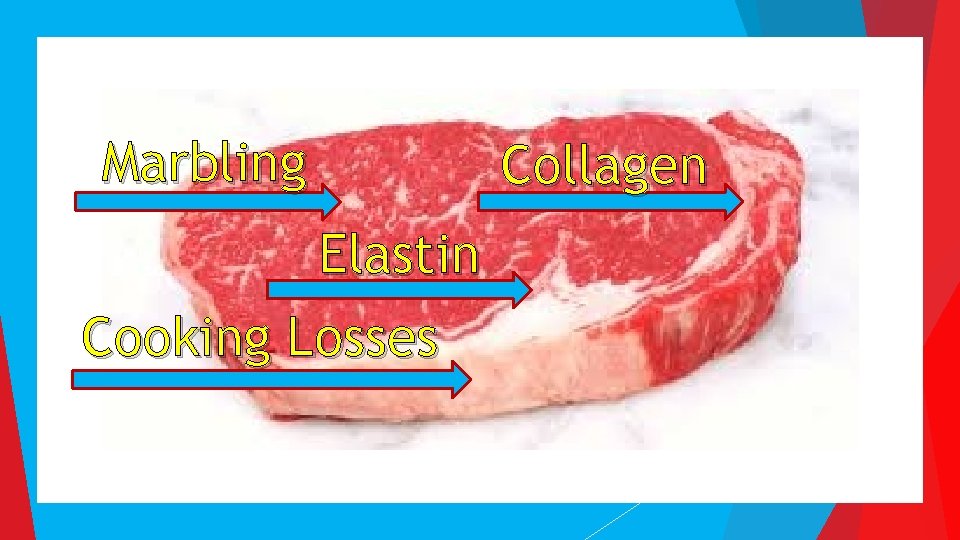 Meat Seafood And Poultry Grab all 3 sheets