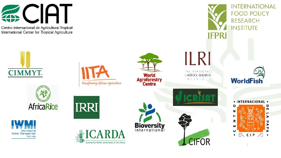 CGIARs Big Data Platform Medha Devare m devarecgiar