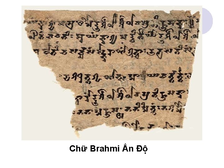 1 iu kin t nhin v s pht