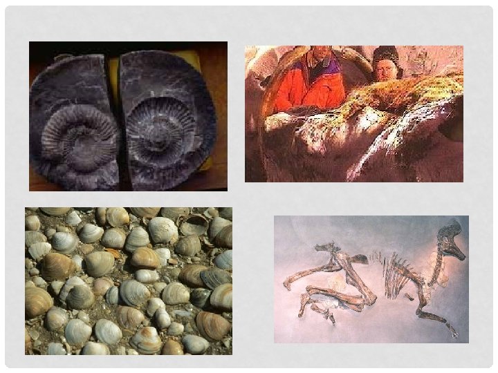 BELLWORK Name 5 ways humans USE land Explain