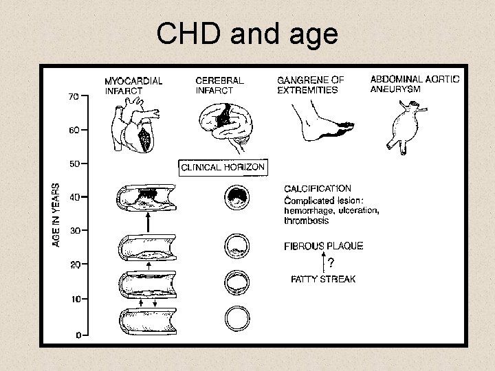Forms of cardiovascular disease Coronary heart disease Strokes