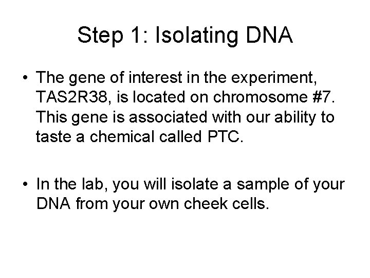 Using a Single Nucleotide Polymorphism to Predict Bitter
