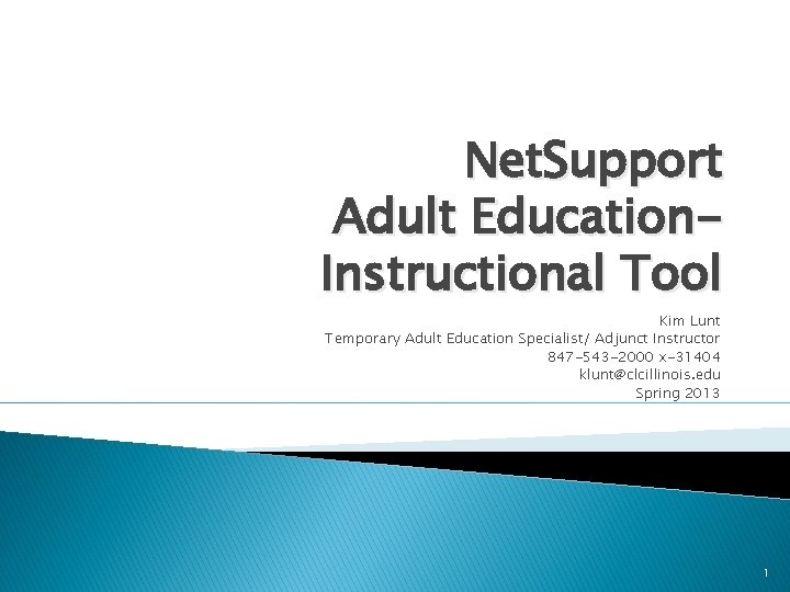 Net Support Adult Education Instructional Tool Kim Lunt