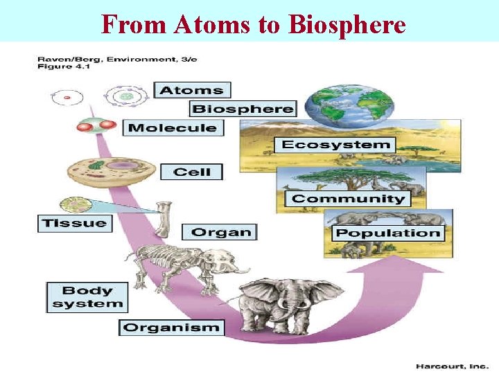 What is an ecosystem All the living biotic