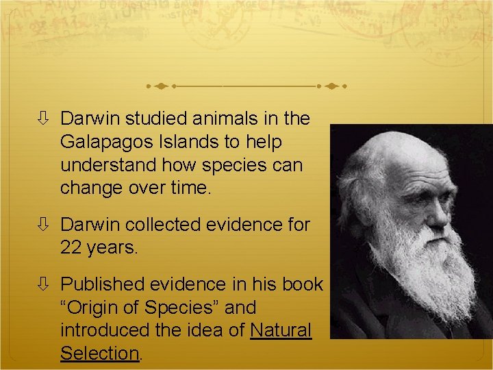 Evolution What is evolution The change of organisms