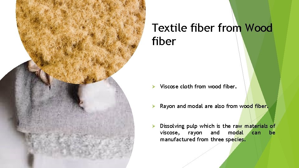 Assessment of Textile fiber from Wood fiber Md