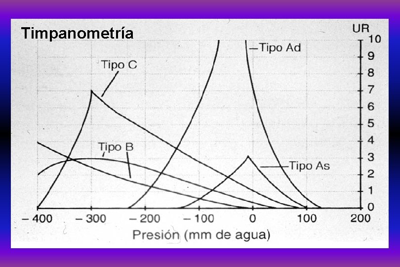 Leccin 2 HIPOACUSIAS DE TRANSMISIN Desarrollo embrionario del