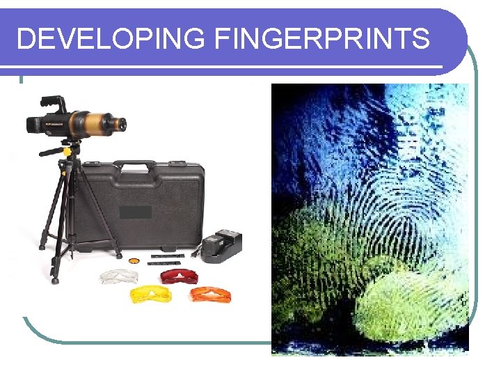 FINGERPRINTS COLLEGE FORENSICS WHAT ARE FINGERPRINTS A fingerprint