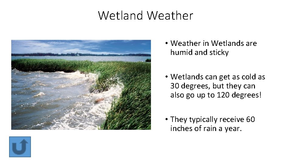 Habitats Around the World Hey kids Im traveling