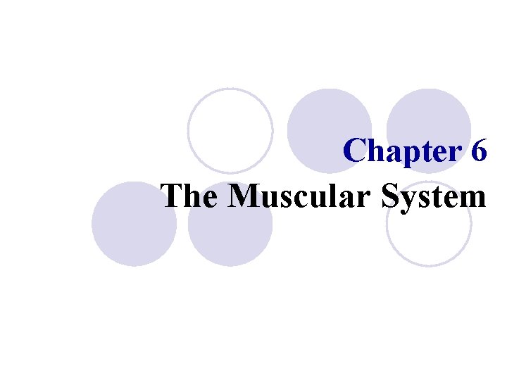 Chapter 6 The Muscular System The Muscular System