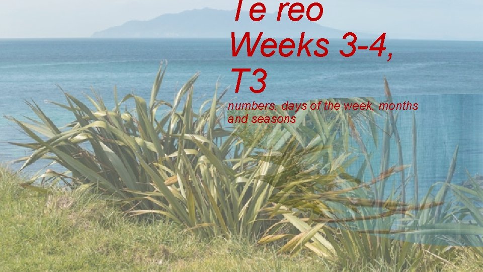 Te reo Weeks 3 4 T 3 numbers