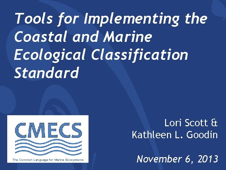 Tools for Implementing the Coastal and Marine Ecological
