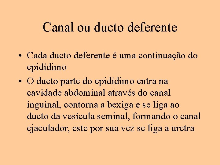 SISTEMAREPRODUTOR Sistema reprodutor masculino O sistema reprodutor ...