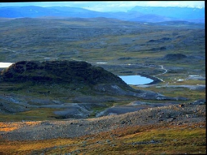 Ecosystems Terrestrial Biomes Tundra Taiga Temperate Forest Tropical