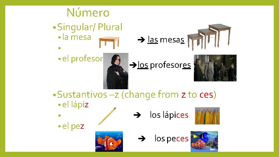 Specifying gender articles and nouns Los sustantivos nouns