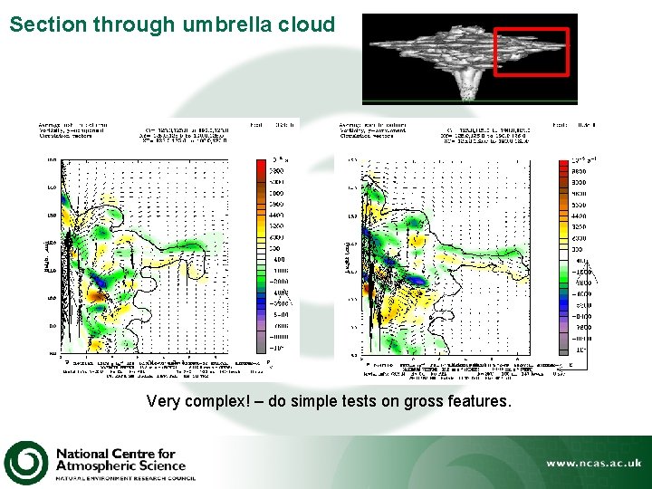 WRF plume modelling update NCAS Leeds Ralph Burton