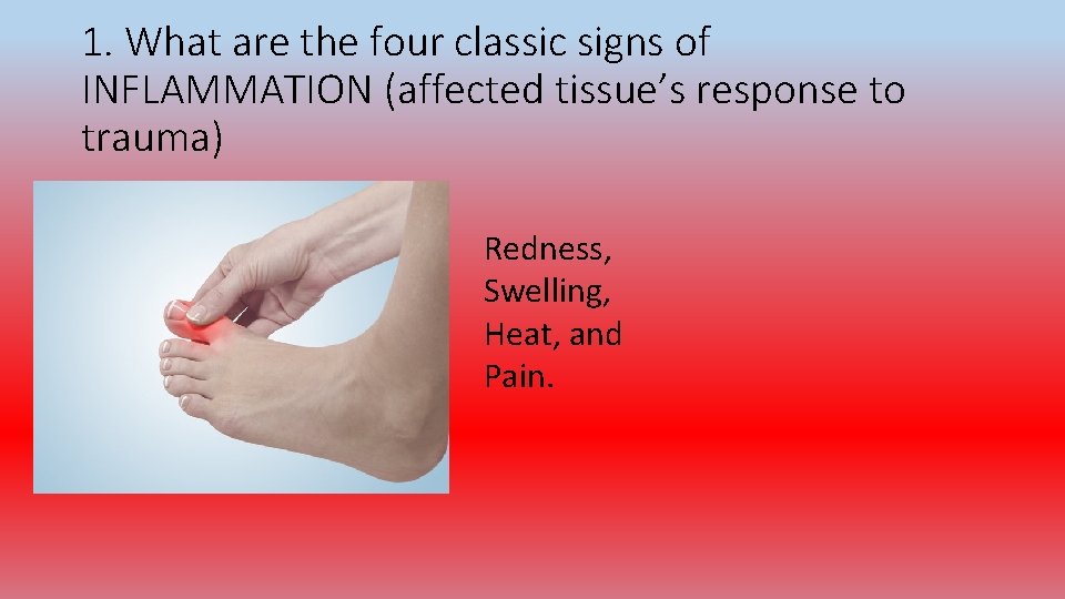 Inflammation 1 What are the four classic signs