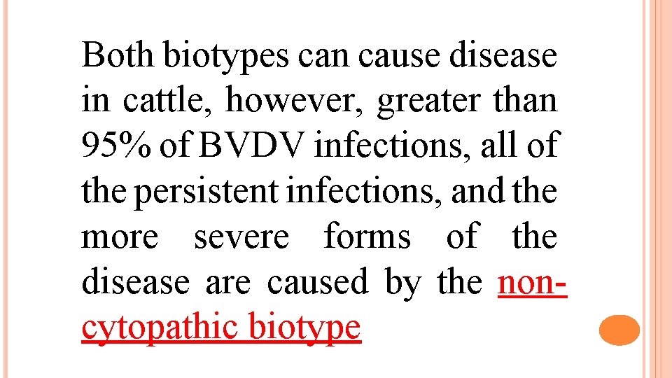 BOVINE VIRAL DIARRHEA Definition BVD is an acute