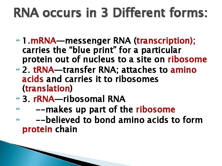 DNA VERSUS RNA TRANSCRIPTION VERSUS TRANSLATION Michigan Benchmarks