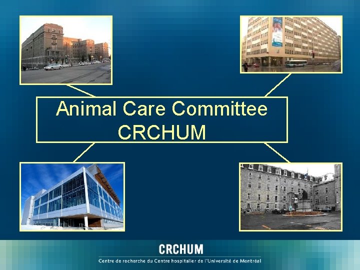 Post Approval Monitoring A tool to improve best
