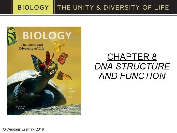 CHAPTER 8 DNA STRUCTURE AND FUNCTION Cengage Learning