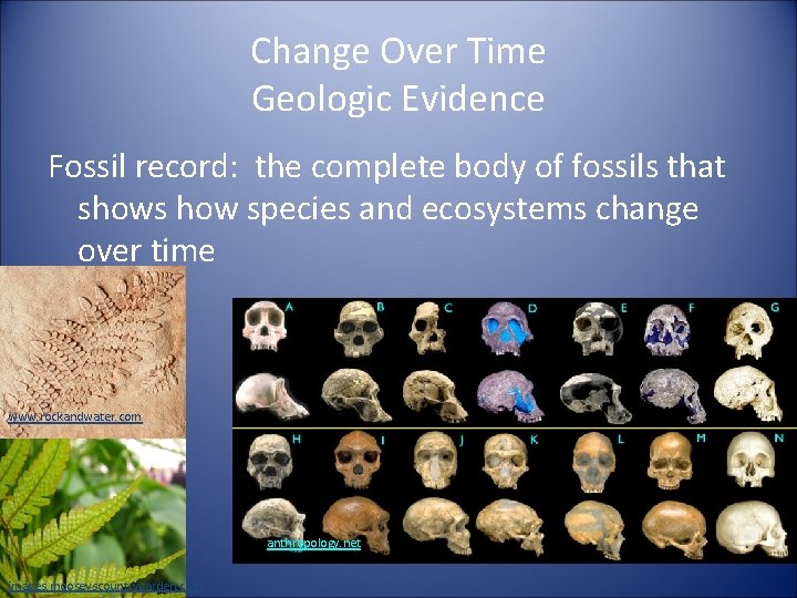 Geologic Evidence of Change Over Time FOSSILS Wake