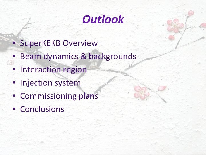 Super KEKB Status Report del Super KEKB Commissioning