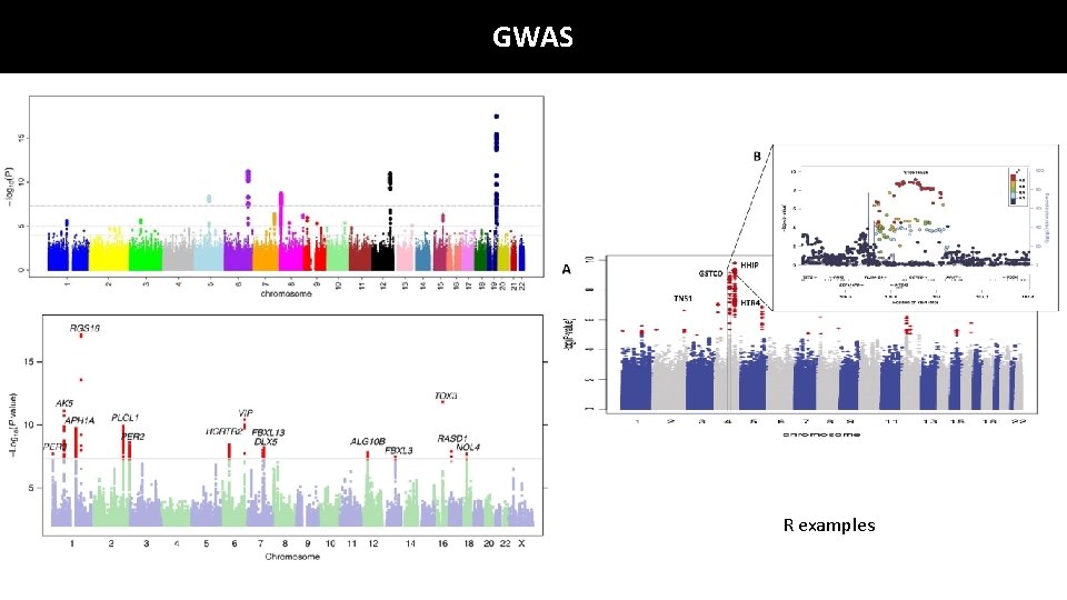 Week 10 Things you should be doing to
