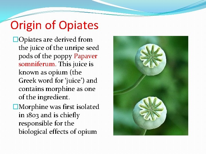 Medicinal chemistry Opiates Learning out comes Understand what