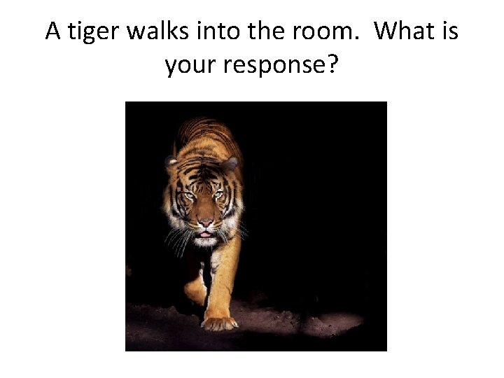 HeadED Lesson 3 Stress and anxiety Learning Objectives