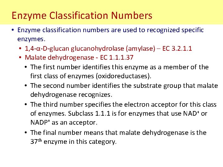 STB 1083 BIOCHEMISTRY Lecture 6 INTRODUCTION TO ENZYMES
