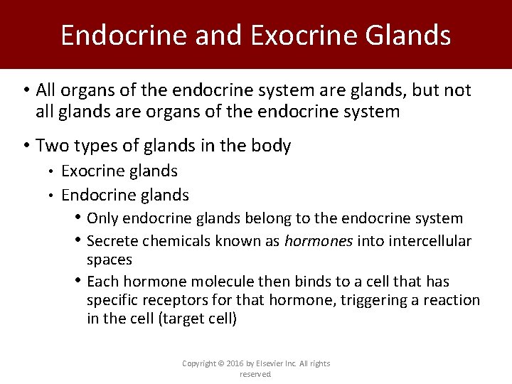 Chapter 11 The Endocrine System Objectives 1 Distinguish