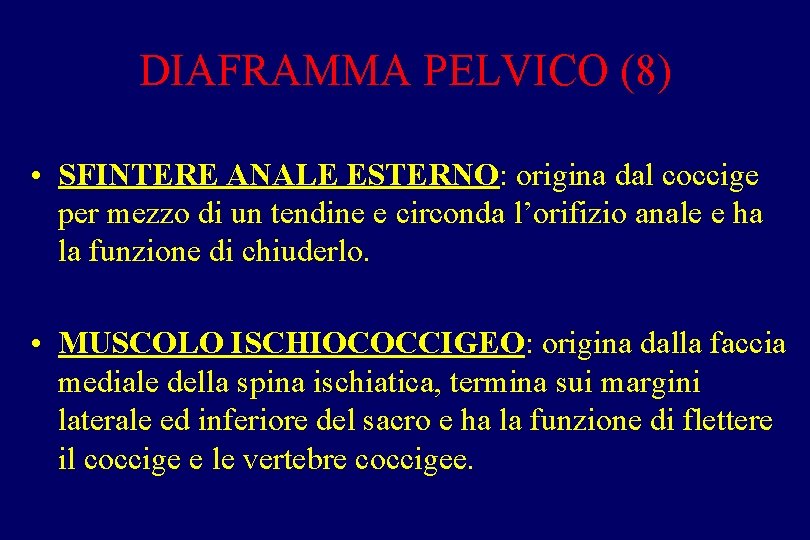 PAVIMENTO PELVICO STRUTTURA E FUNZIONE 3 PIANI MUSCOLOAPONEUROTICI