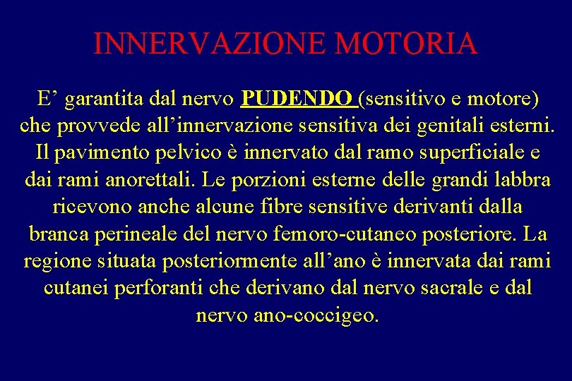 PAVIMENTO PELVICO STRUTTURA E FUNZIONE 3 PIANI MUSCOLOAPONEUROTICI