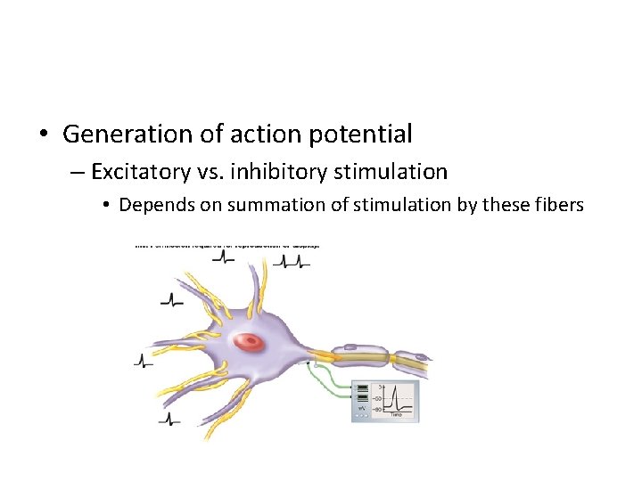 Neural Physiology Anatomical organization One system Two subdivisions