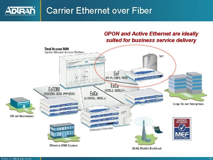 Fiber to the x FTTx Selecting the Best