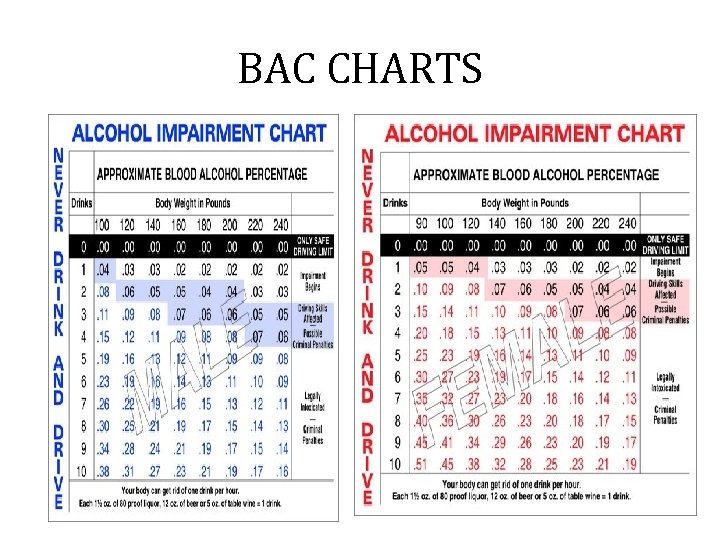 HEREs TO ALCOHOL THe cause of and solution