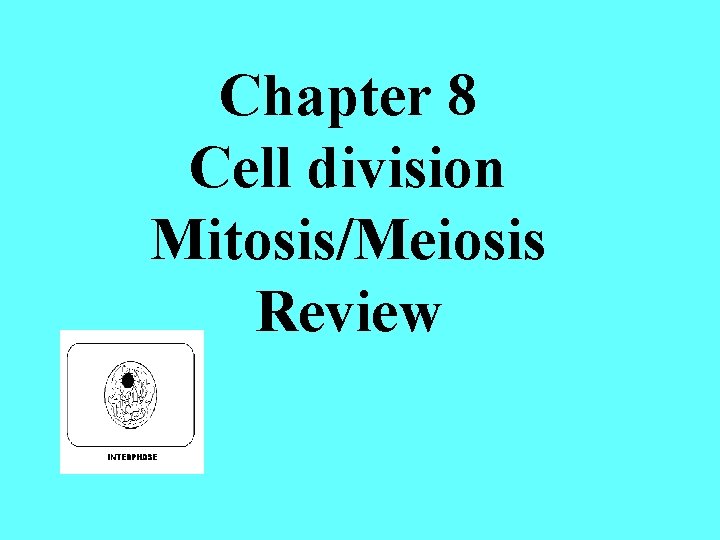 Chapter 8 Cell division MitosisMeiosis Review This spot