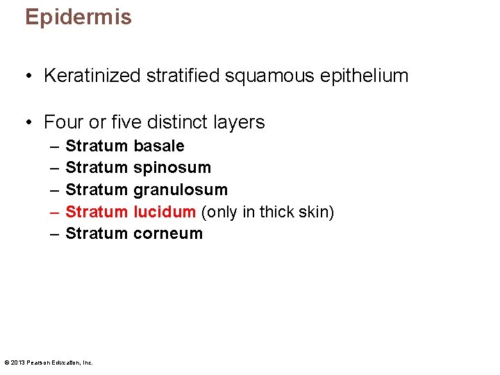 Power Point Lecture Slides prepared by Barbara Heard