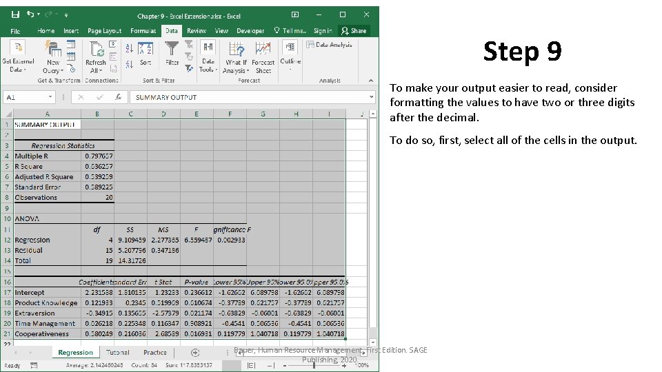 Chapter 9 Excel Extension Now You Try Using