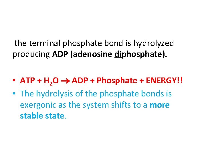 Chapter 8 Introduction to Metabolism all the chemical