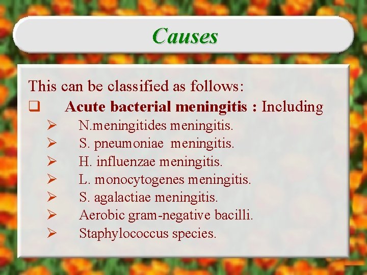 Meningitis By Aly Ahmed Zaki Helmy Assistant Professor